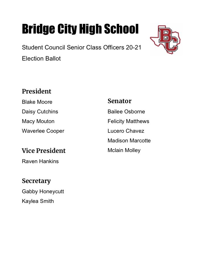 Class Officers In High School