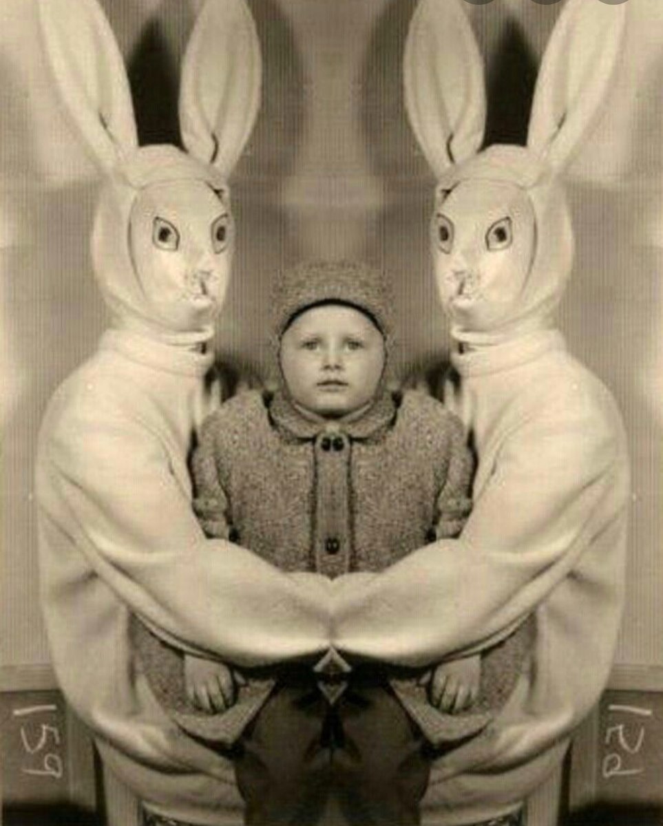 Stephen Kings Children