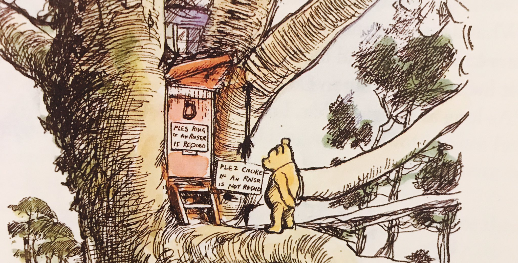 Winnie The Pooh Owl House