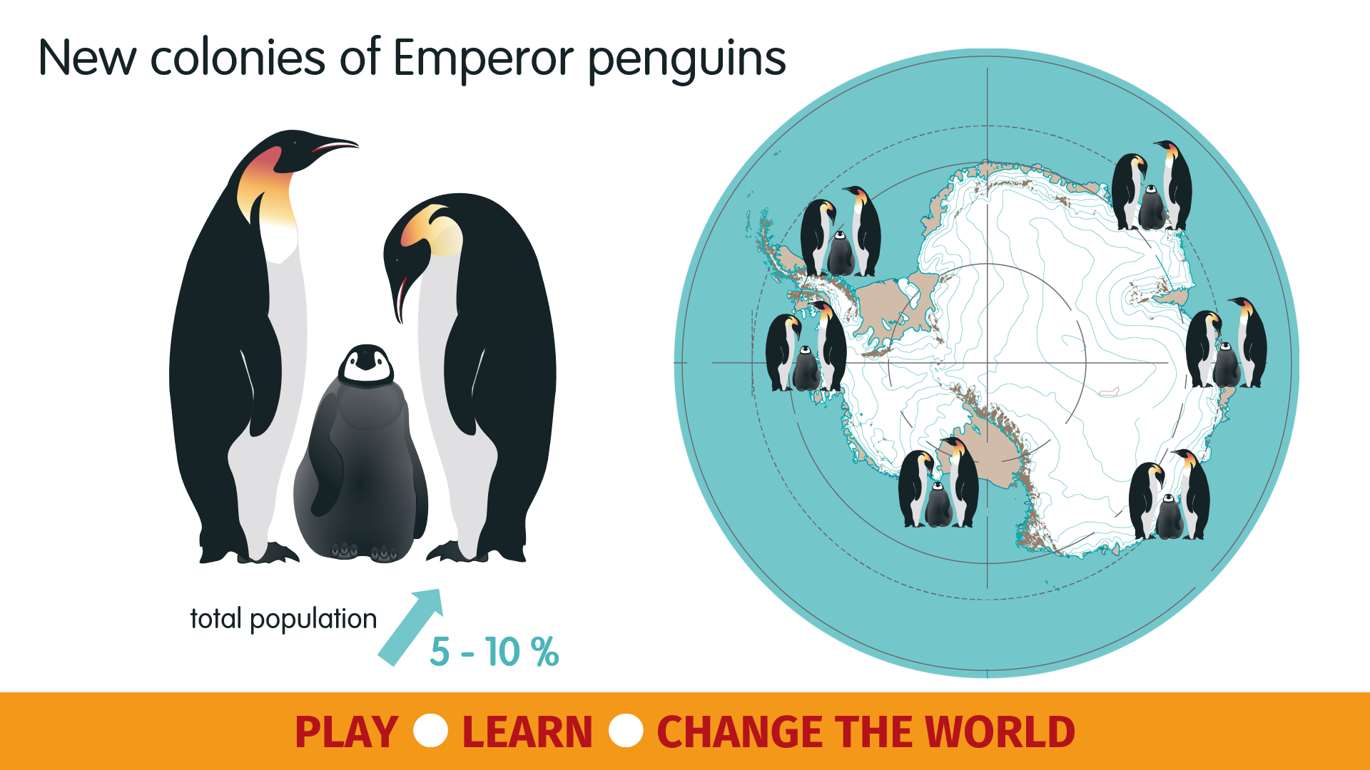 Penguin Population In The World New Research Shows Penguins Will