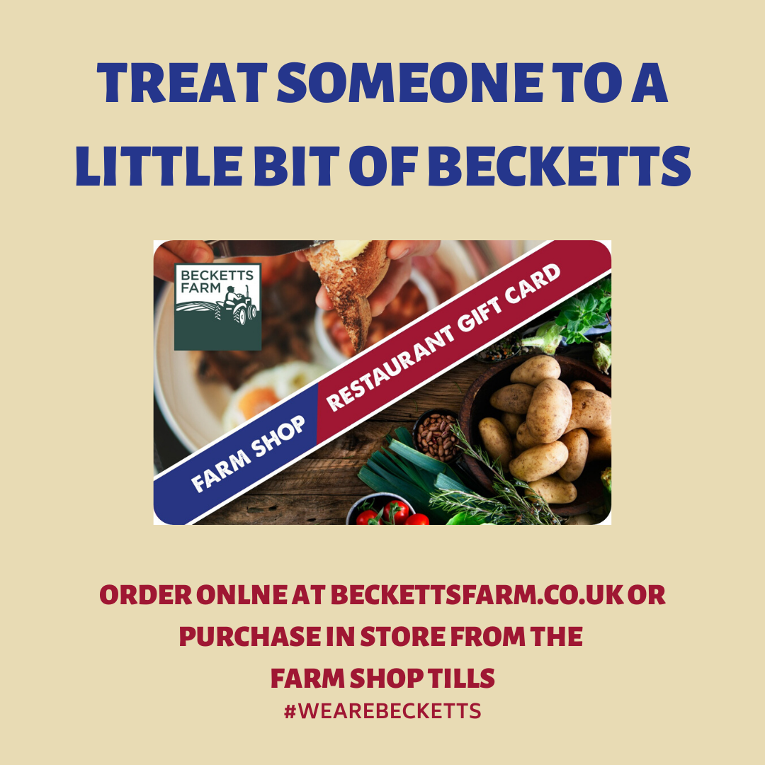 Simon's News - April 2017 | Becketts Farm