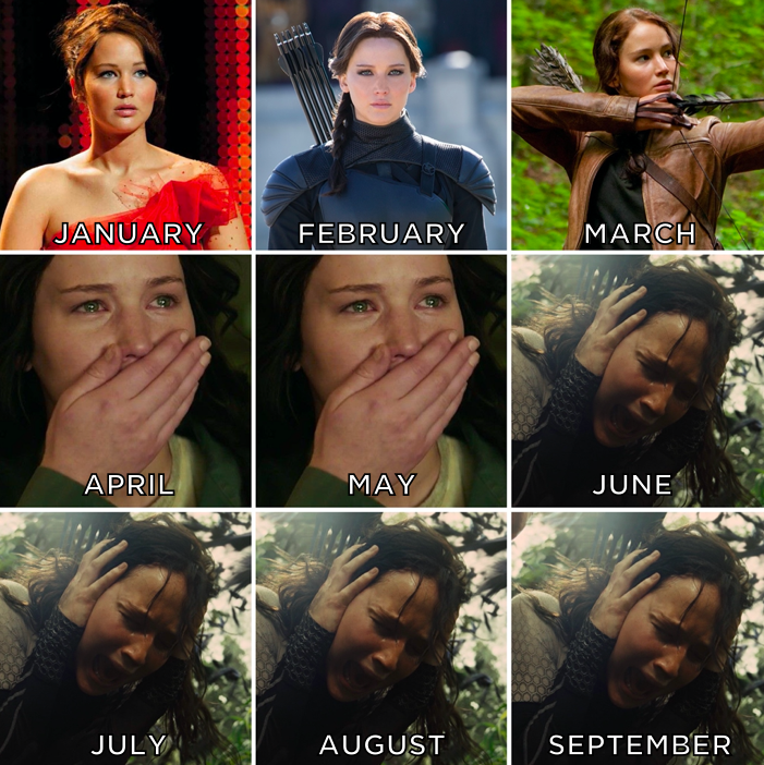 I Volunteer Meme Hunger Games