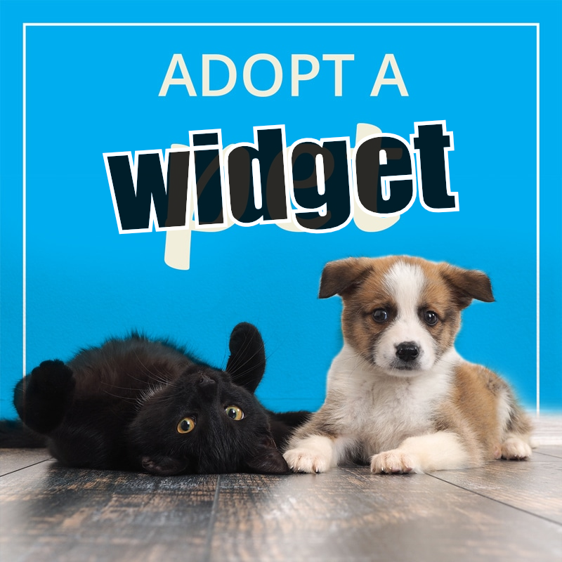 Tim Sneath on Twitter: "Plenty of other doc volunteer opportunities, by the way. If you've got ...