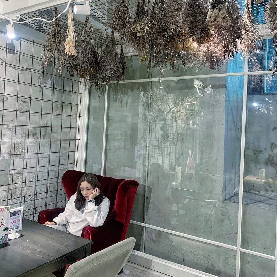 Adele Wu (@AdeleWu8) | Twitter