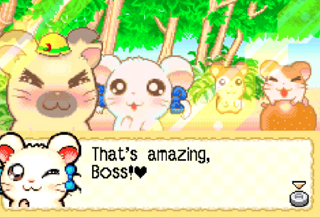 Hamtaro And Bijou And Boss