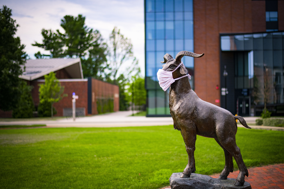 Wpi Goat