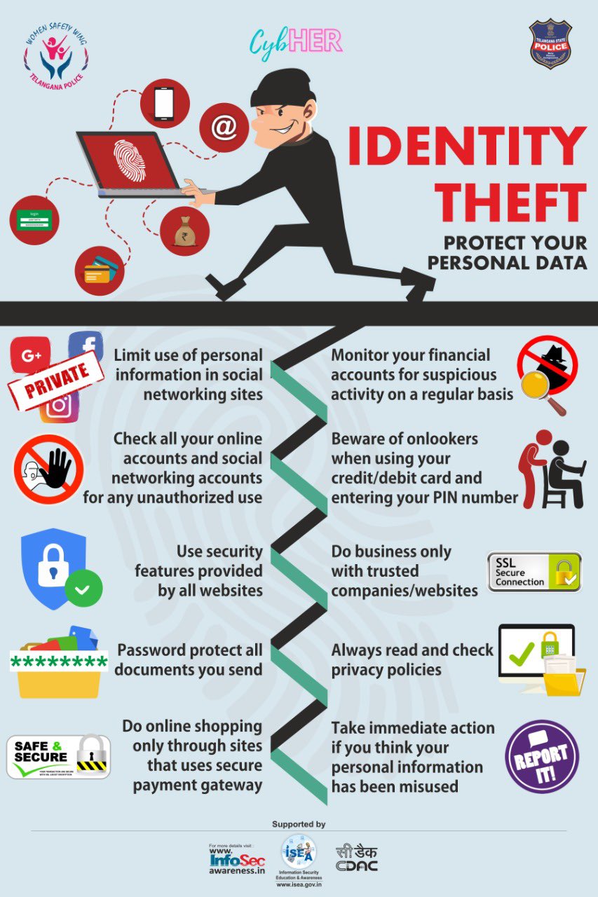 Identity Thief Poster