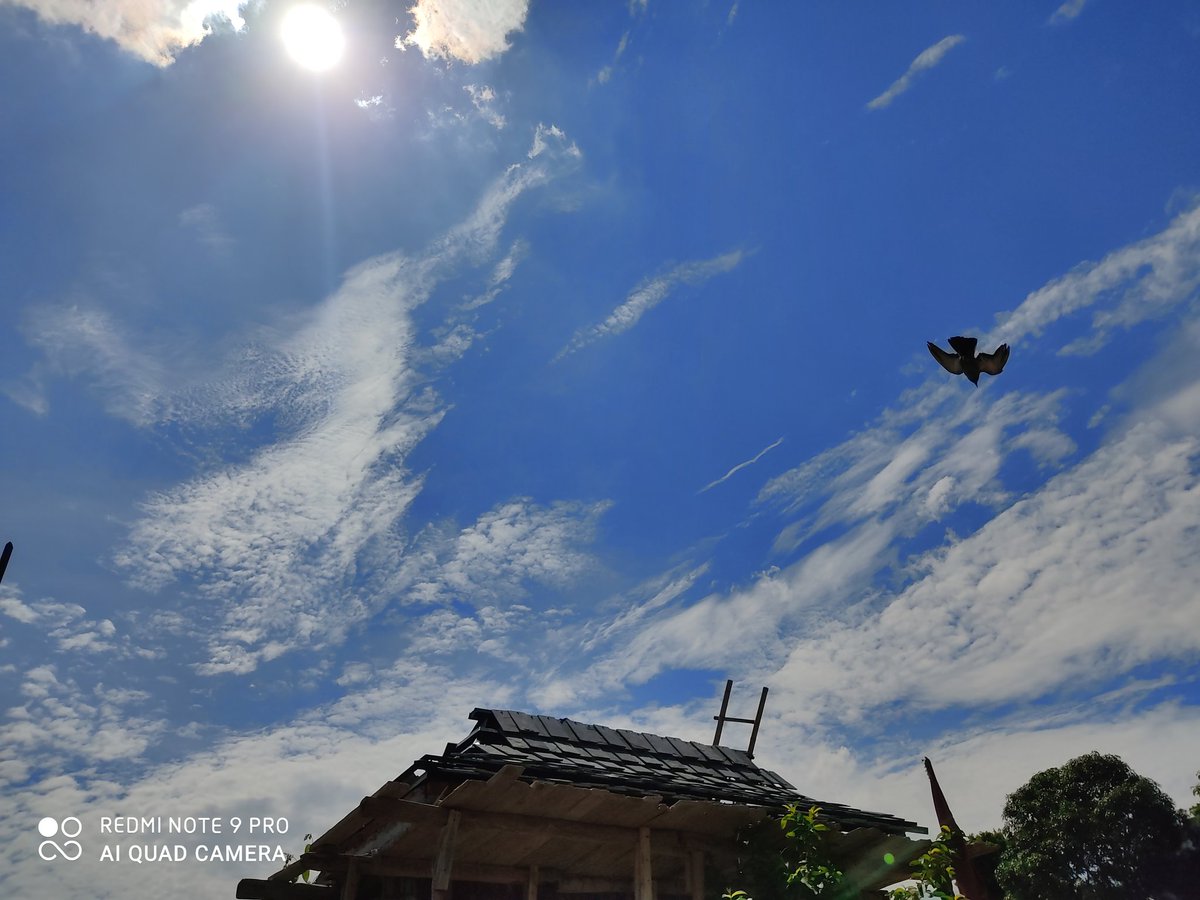 Devanshu Sharma (@Devanshu1Sharma) | Twitter