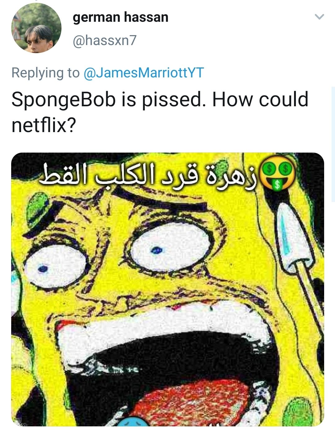 Arabic Language Memes