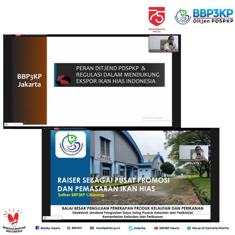 BBP3KP Jakarta on Twitter: "kesesuaian dlm pengembangan potensi ekspor ikan hias, Heru Suseno ...