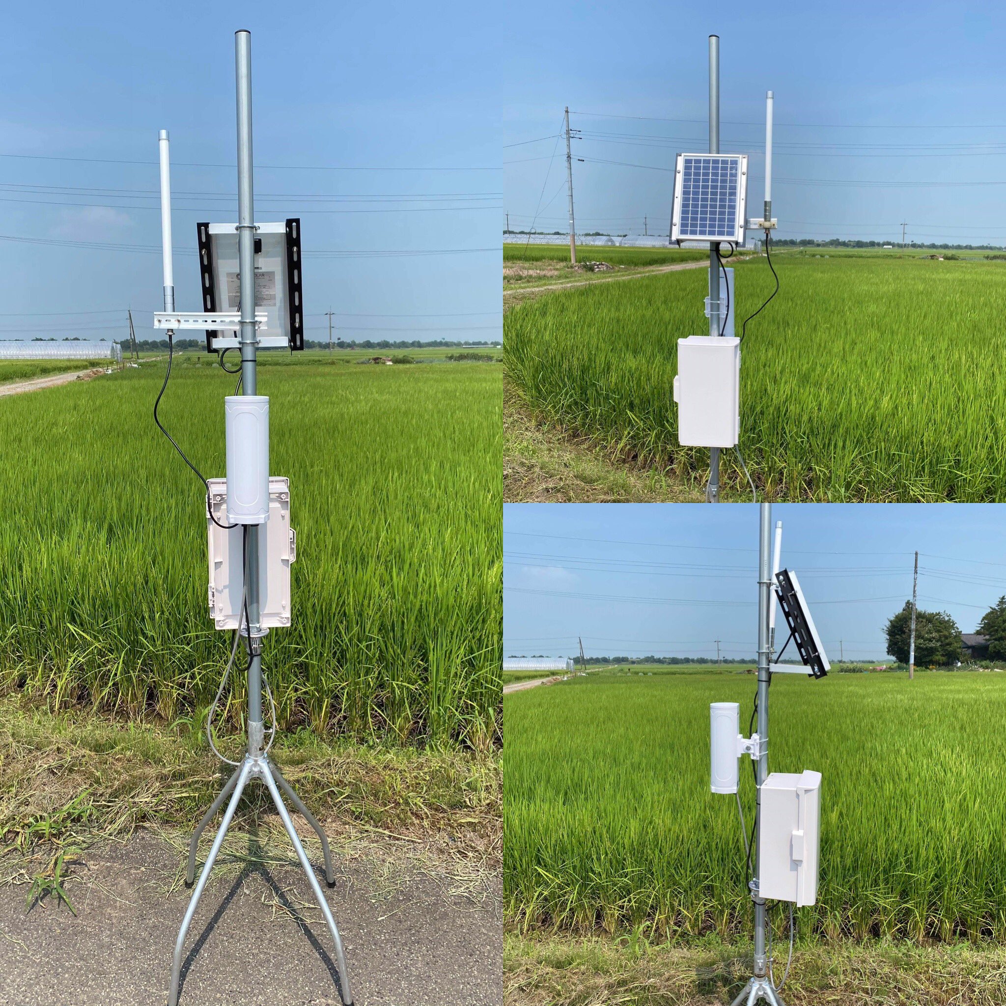 The Things Network Ambassador Japan on Twitter: "TTN Niigata initiator Mr.Tanaka built a smart ...