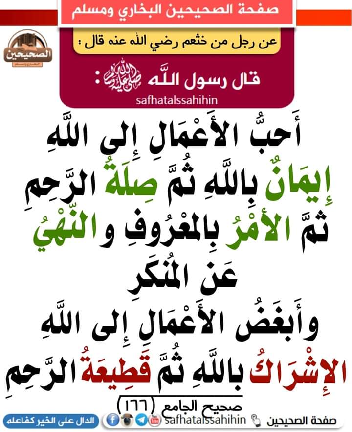 Mohamed Elseify (@m_elseify) | Twitter