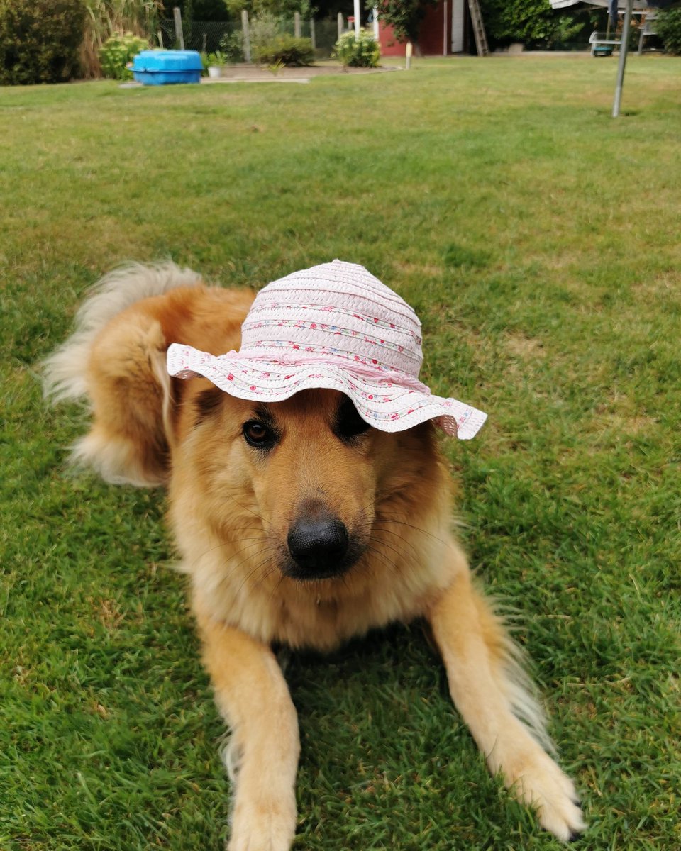 Flowmagic_official (@Flowmagic2) | Twitter