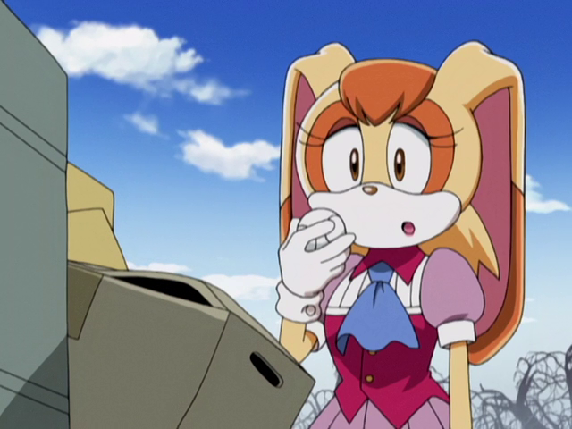 Vanilla The Rabbit Sonic X