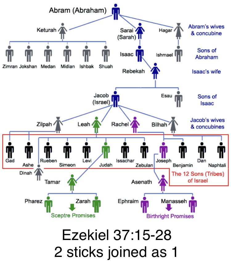 A Thread from @YHWH_Yeshua_Way: "Bible study discussion thread: the ...