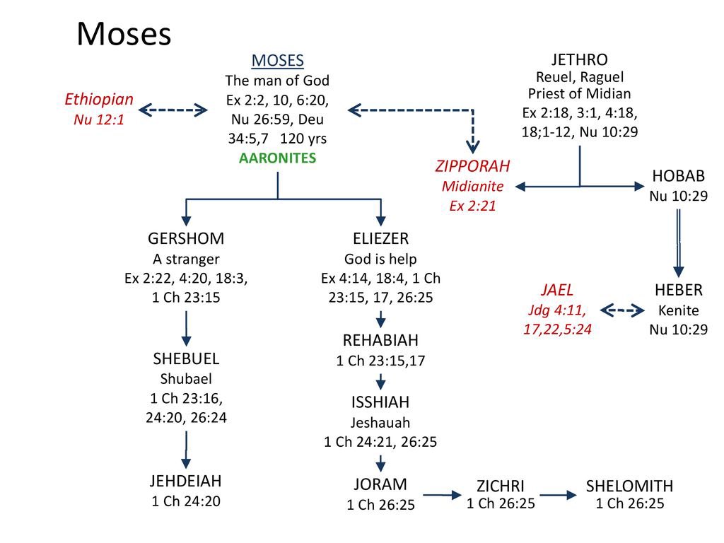Family Tree Of Moses In The Bible Family Tree