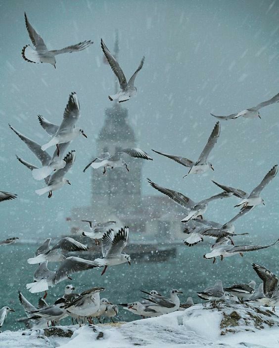 Modather (@Modathe06129609) | Twitter