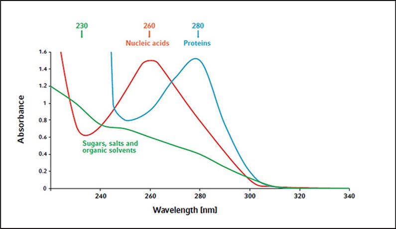 نبدأ على بركة الله : 👇🏻جهاز Nanodrop spectrophotometer : جهاز يعطيك ...