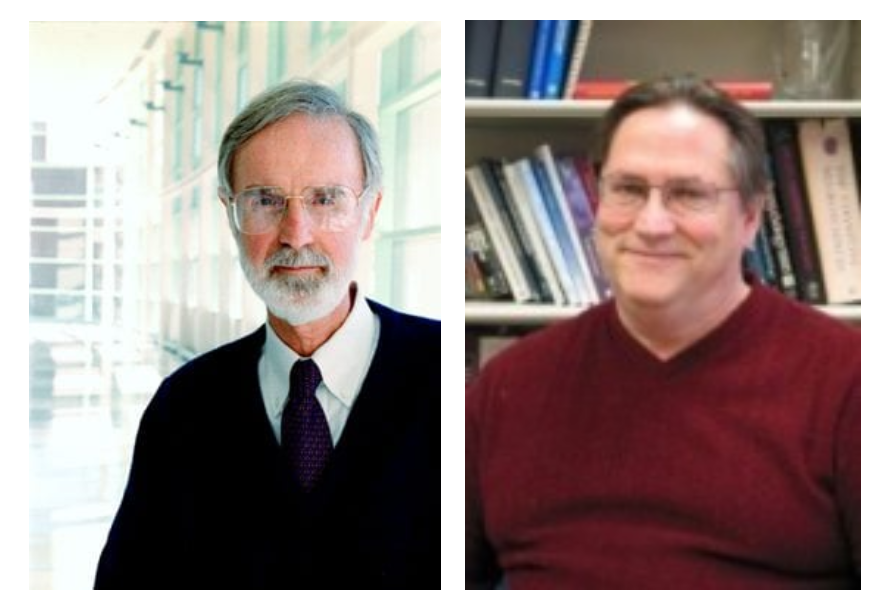 Thread by @dillannewbold: Twitter thesis day 3: Recording of human ...