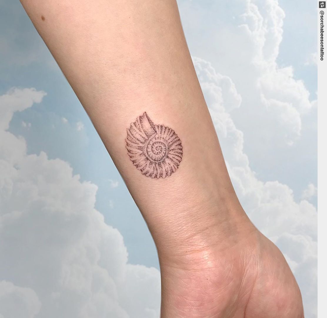 Ammonite Tattoo Designs