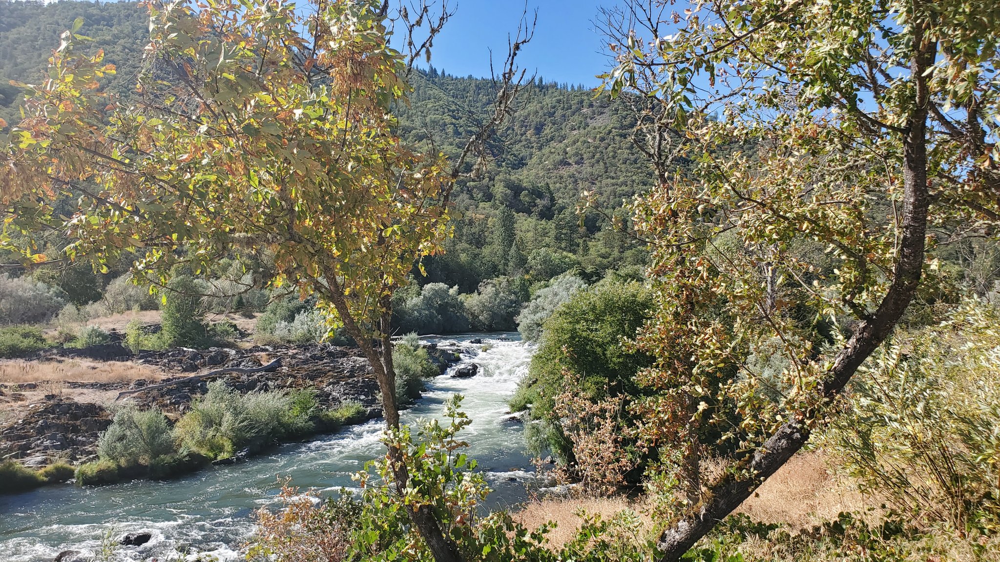 TW Pornstars - Frankie Rivers. Twitter. I love it here.🌲. 12:36 AM - 21 ...