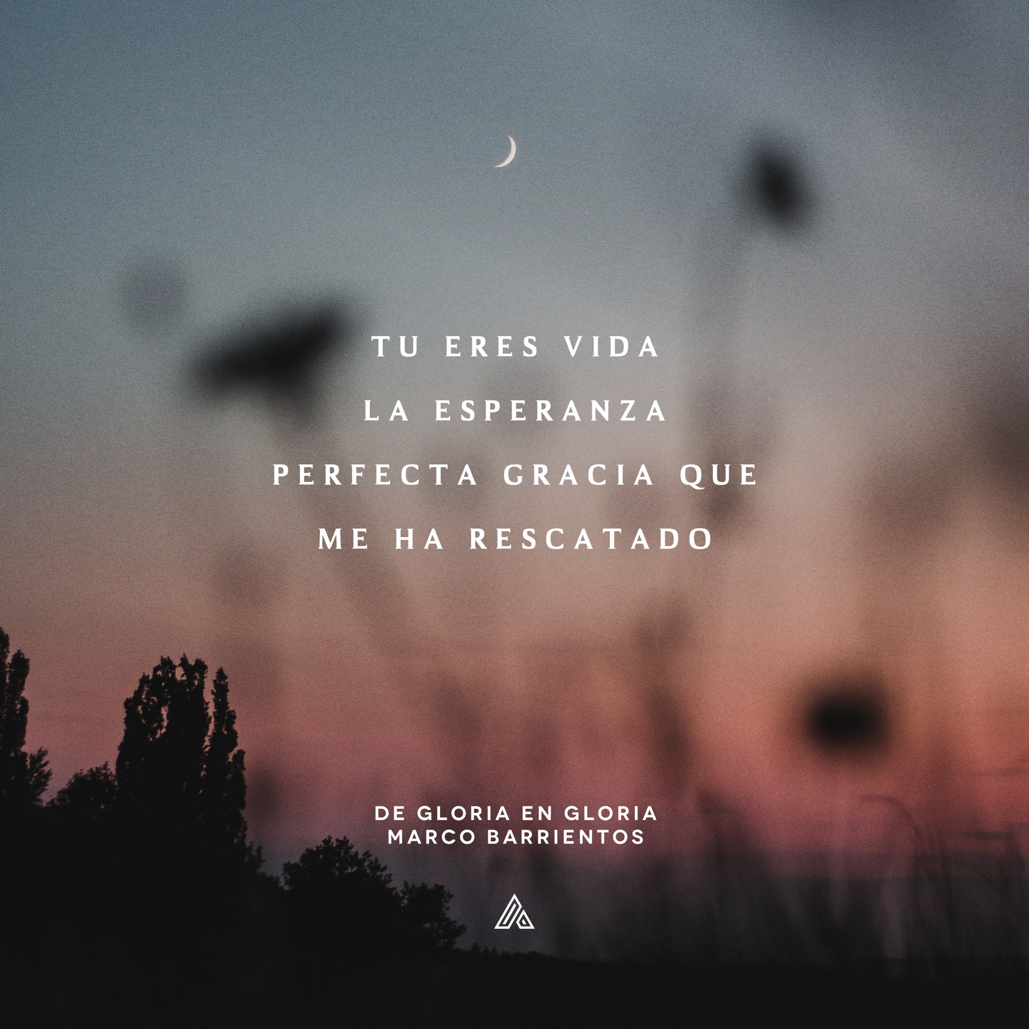 Eres Perfecta Tumblr