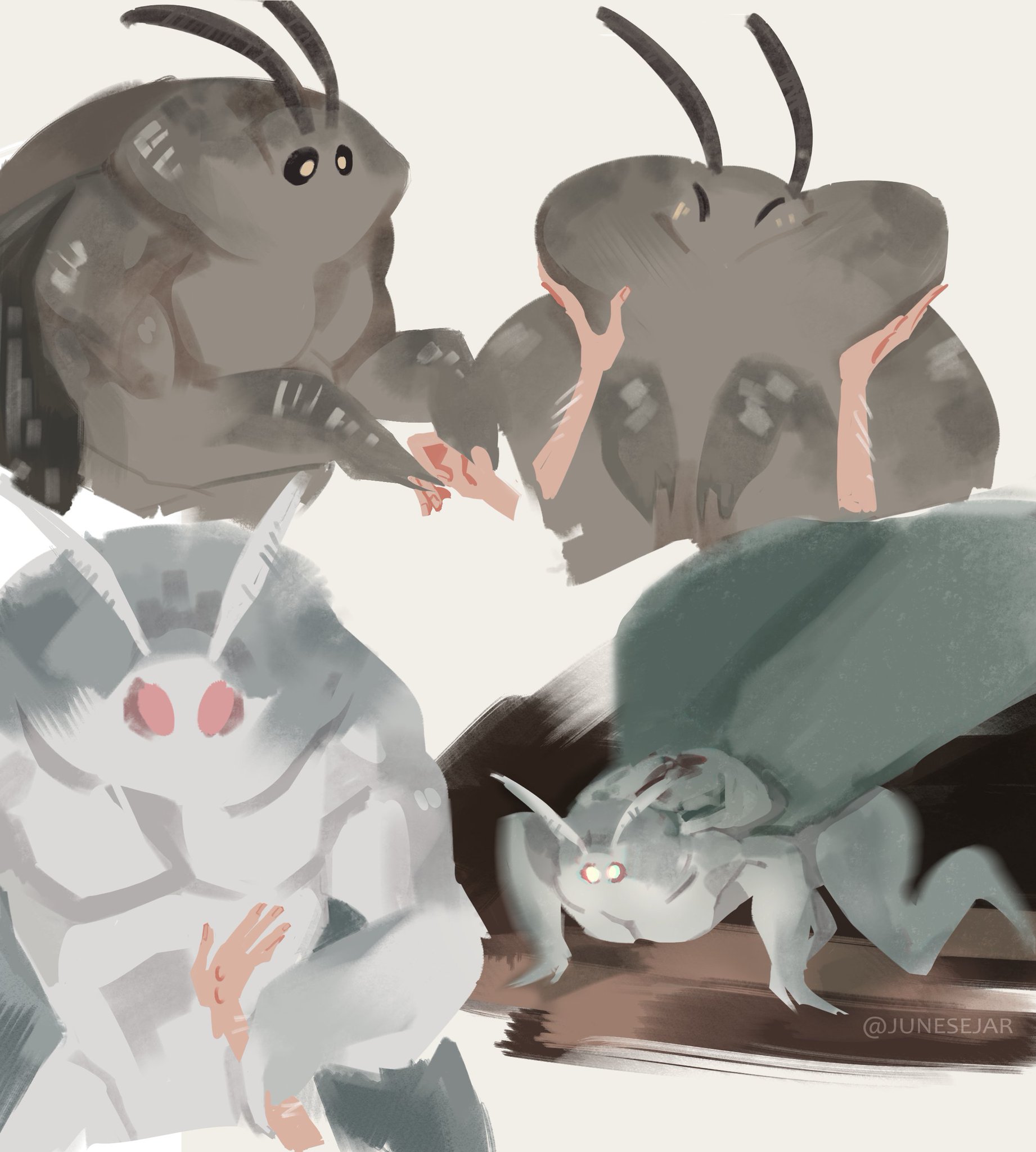 junesejar on Twitter: "moths https://t.co/XC8iHOLKXe" / Twitter