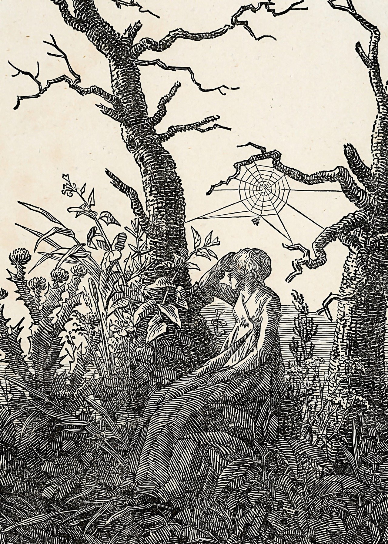 Bare Tree Drawing Tumblr