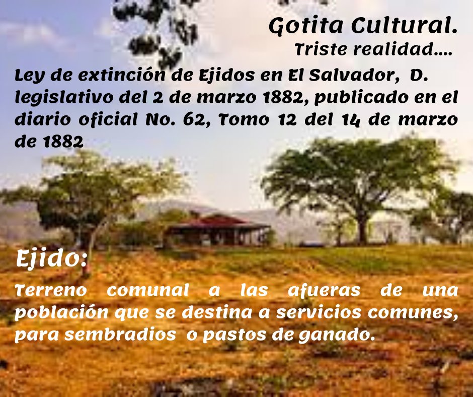 Adolfo Antonio Renderos Montalvo (@renderos_adolfo) | Twitter