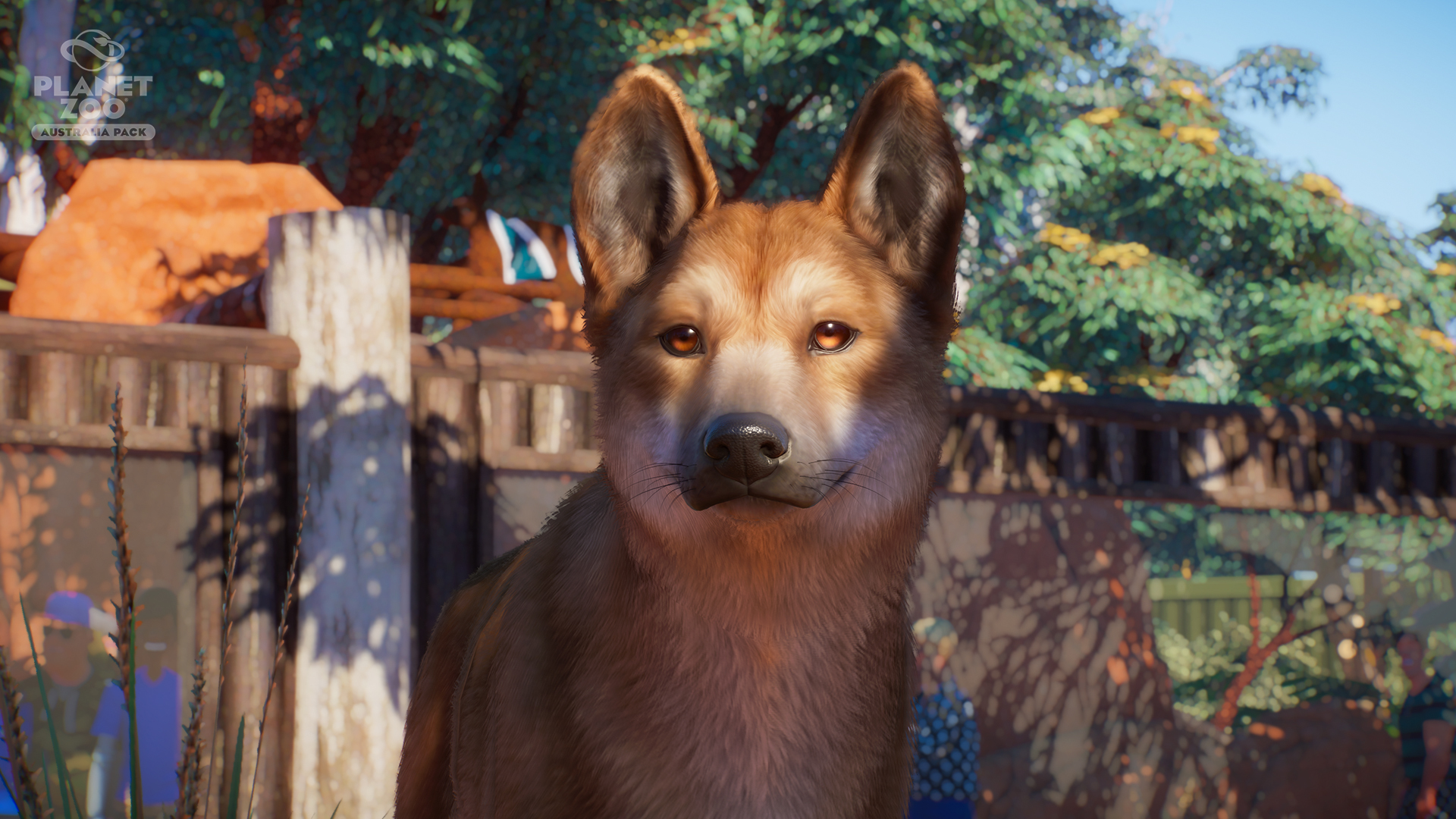 Dingo Far Cry 3 Steam Community :: Guide :: Far Cry 3: A Snacktastic