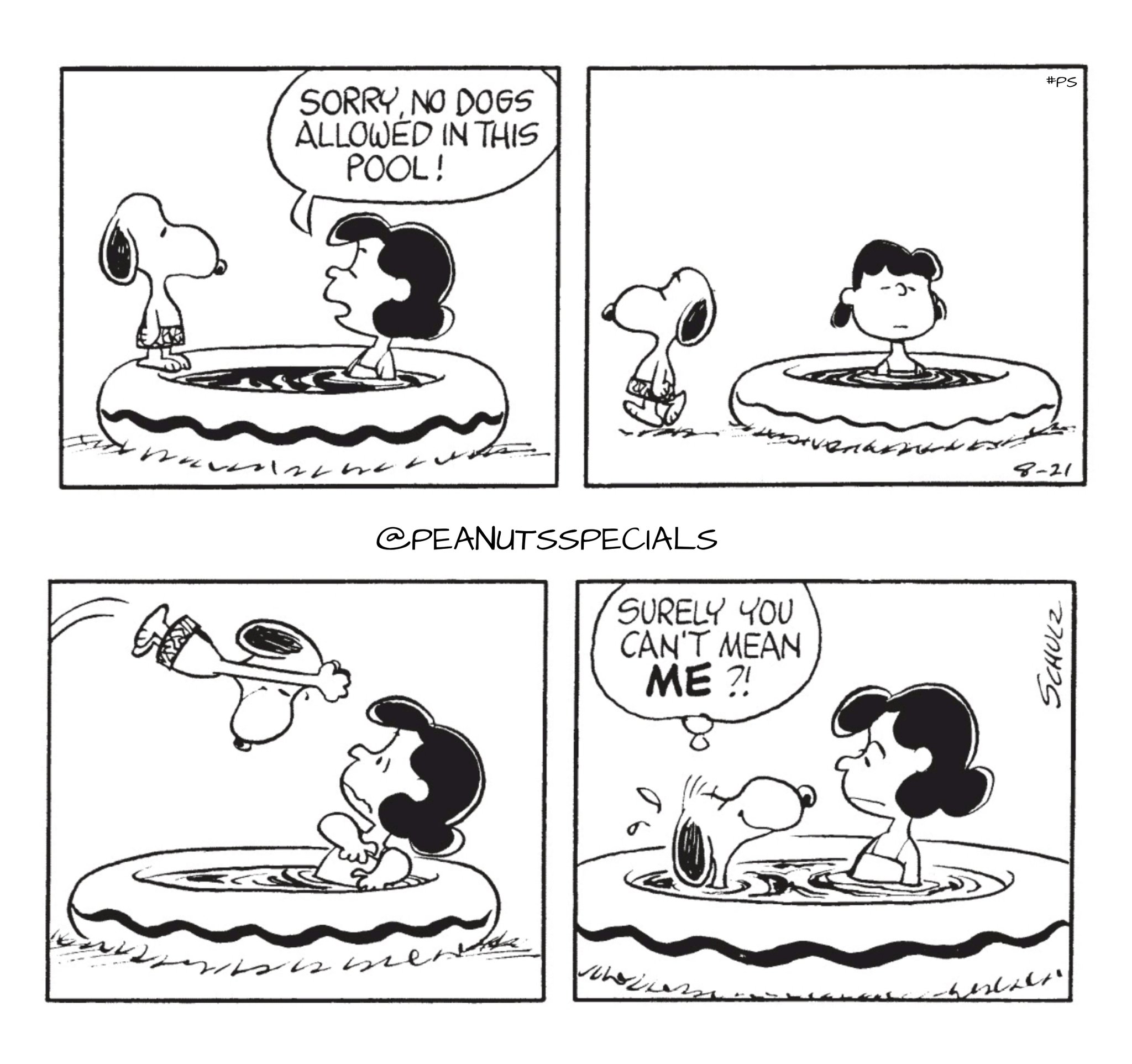 No Dogs Allowed Snoopy