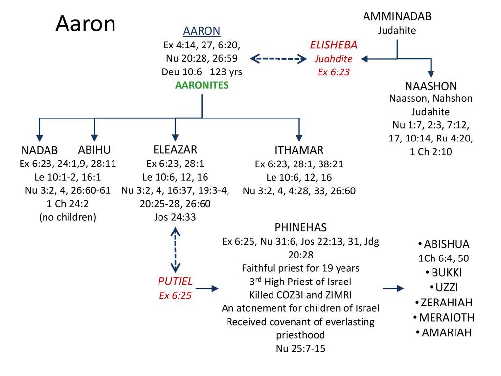 Aaron In The Bible Family Tree