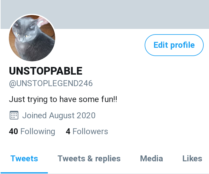 UNSTOPPABLE (@UNSTOPLEGEND246) | Twitter