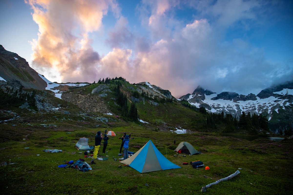 陈新星 (@Xinxing_Chen) | Twitter