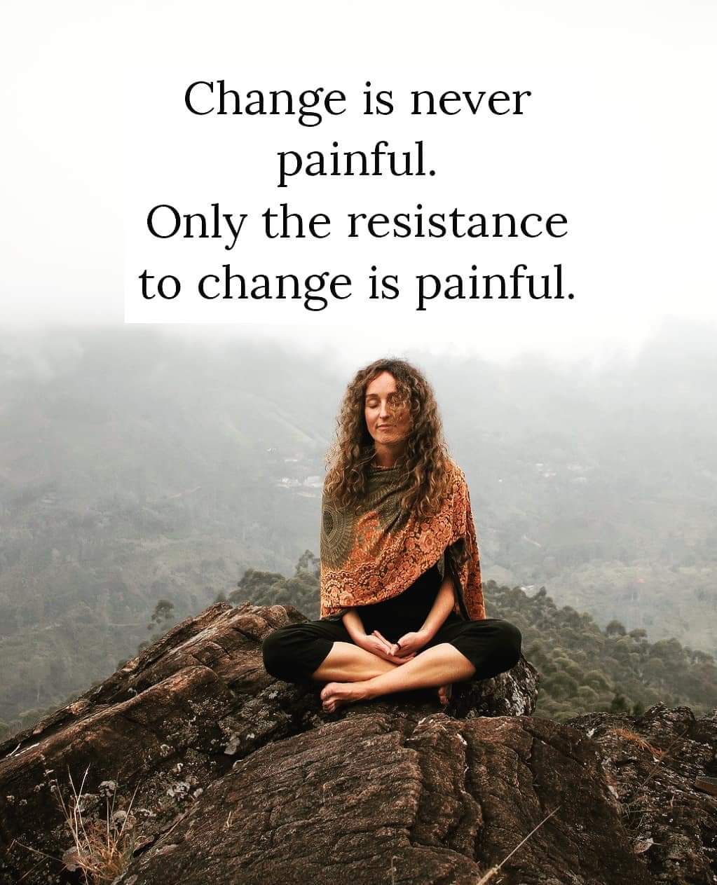 Resistance Change Quotes 112 Promising Resistance To Change Quotes