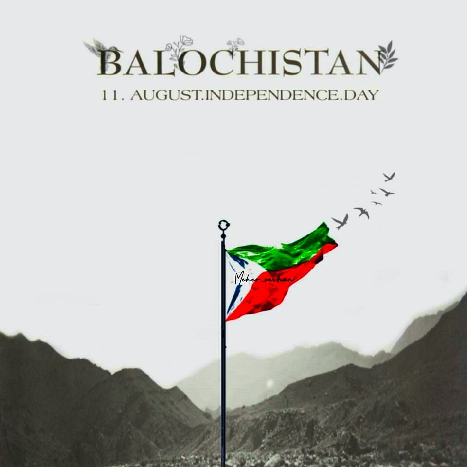 Balochistan Flag Wallpaper