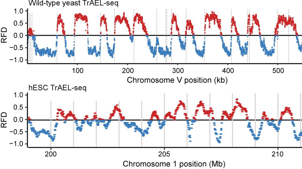 Reik, Wolf – Wellcome Sanger Institute