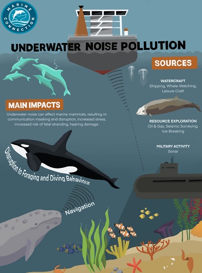 Effects Of Noise Pollution On Wildlife