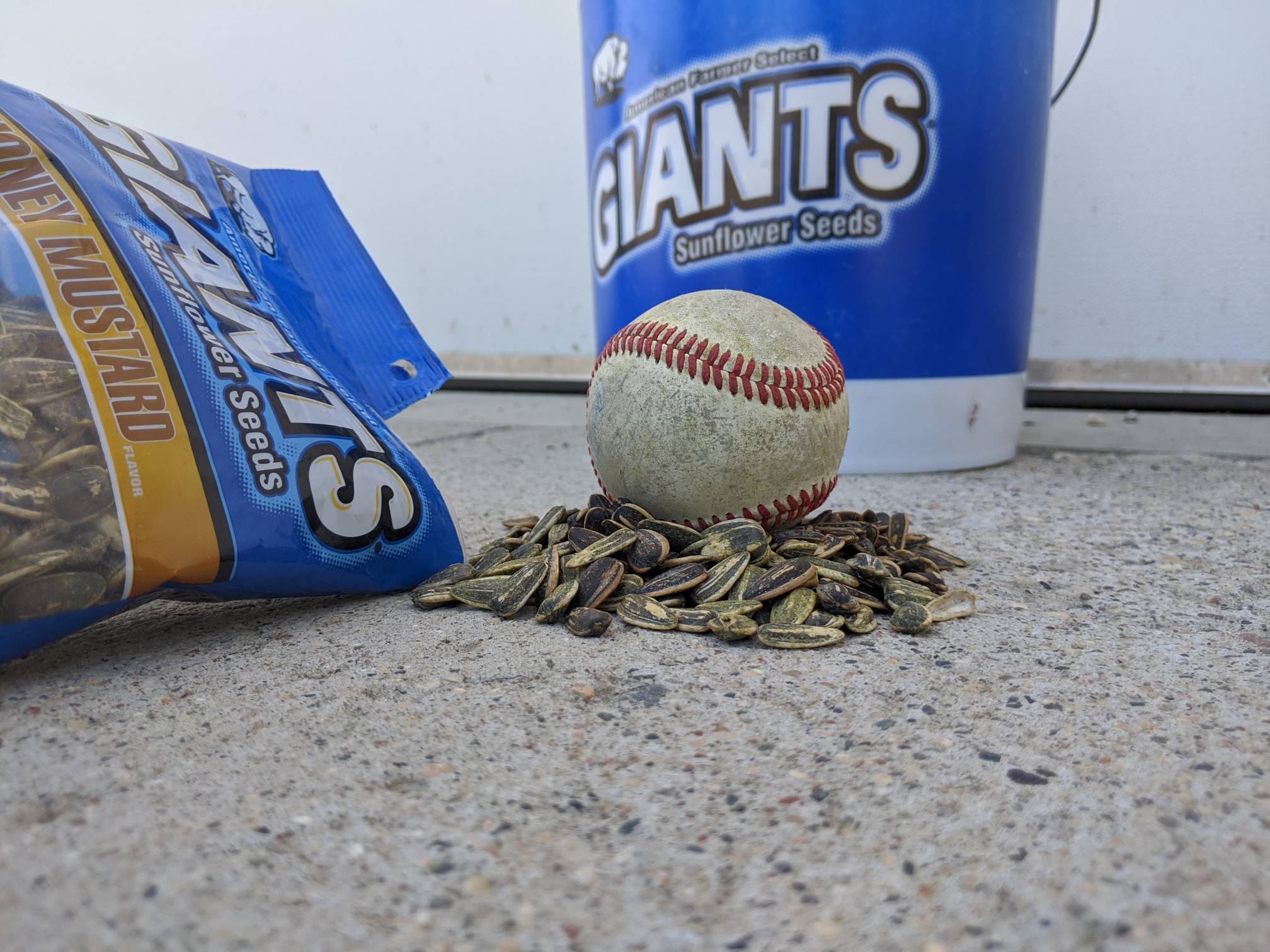 Sunflower Seeds Bag Baseball