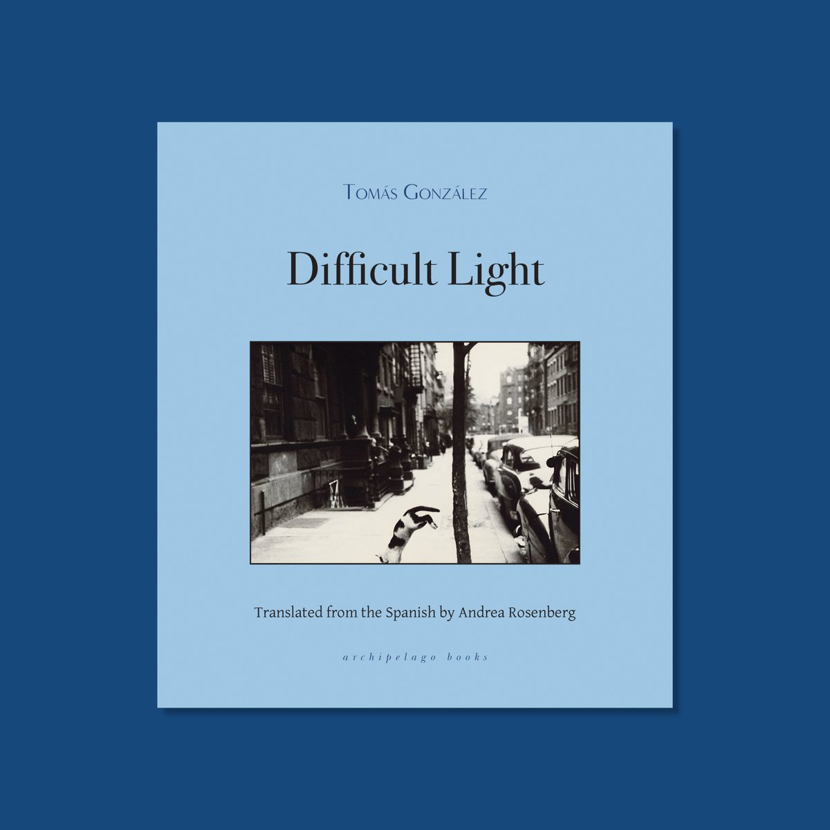 Celebrating Erasure I: Mary Ruefle – Archipelago Books