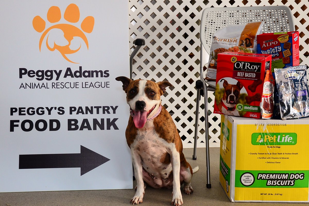 Woodland Park Zoo Achieves Humane Certification for Animal Welfare ...