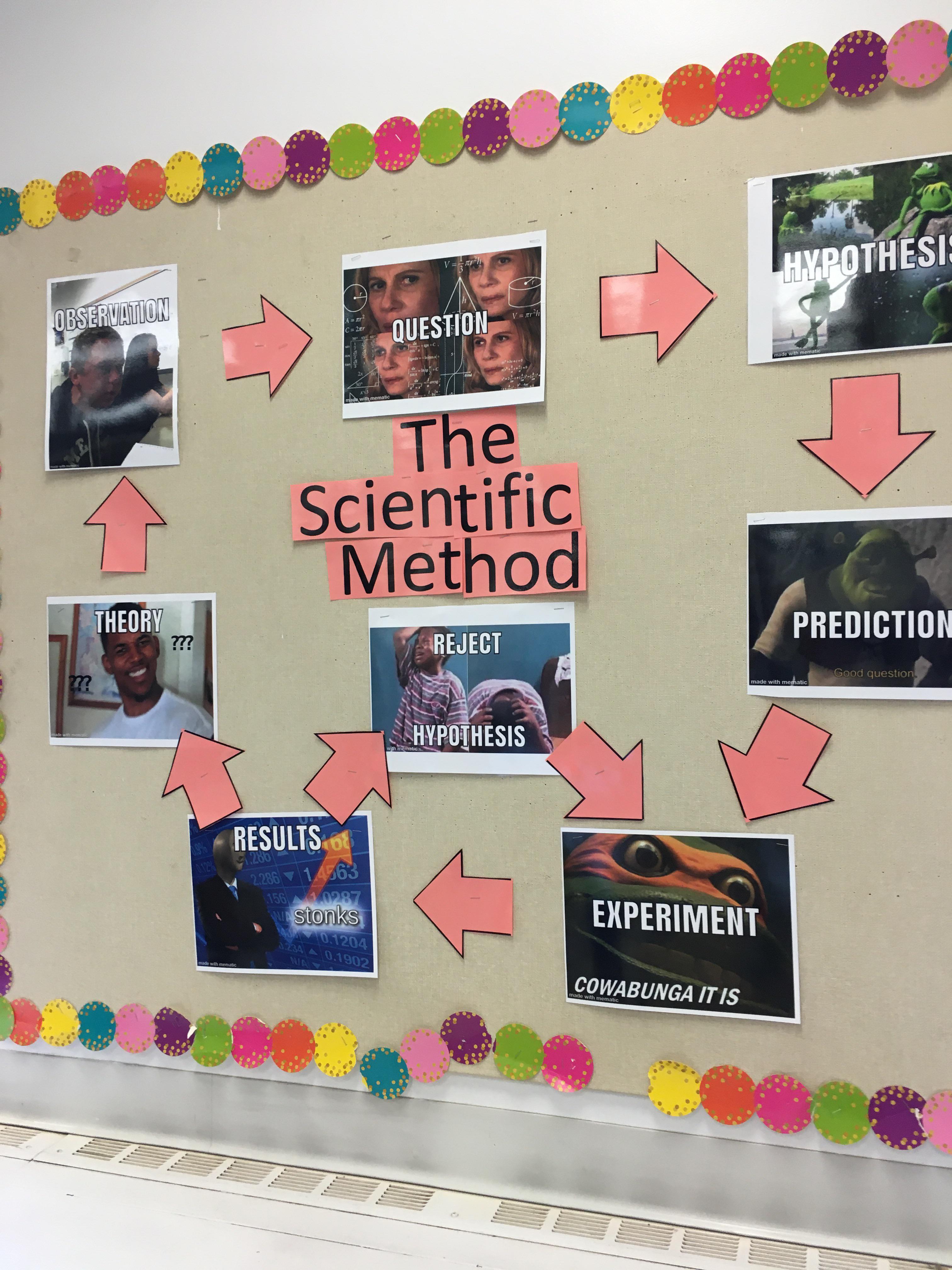 Scientific Method Bulletin Board