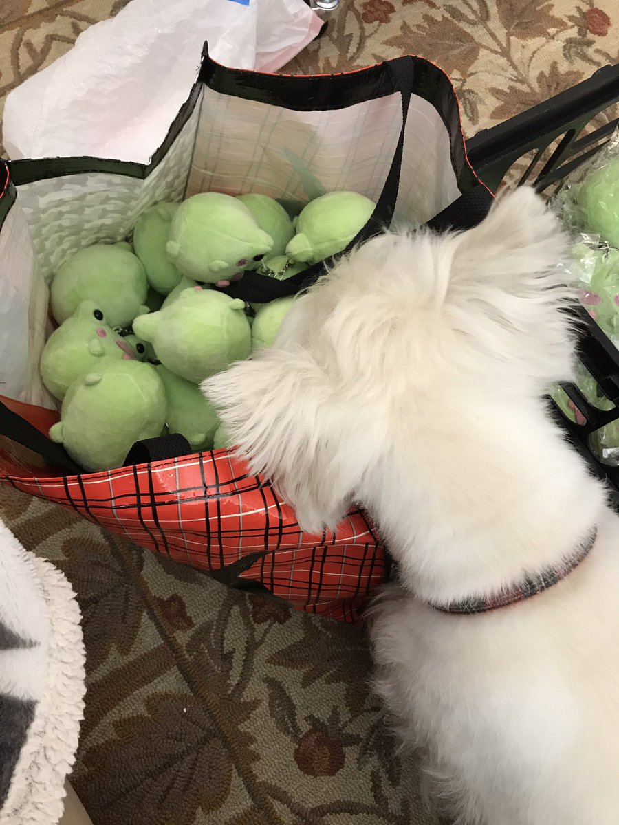 「fed ex says i'm only allowed to receive 」|rachel 🐸 reichenbachのイラスト