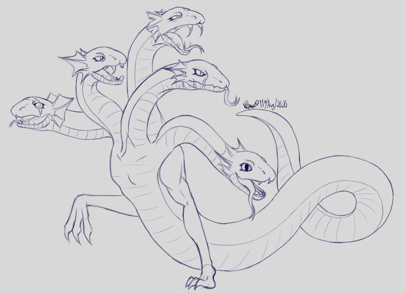 Hydra Drawing