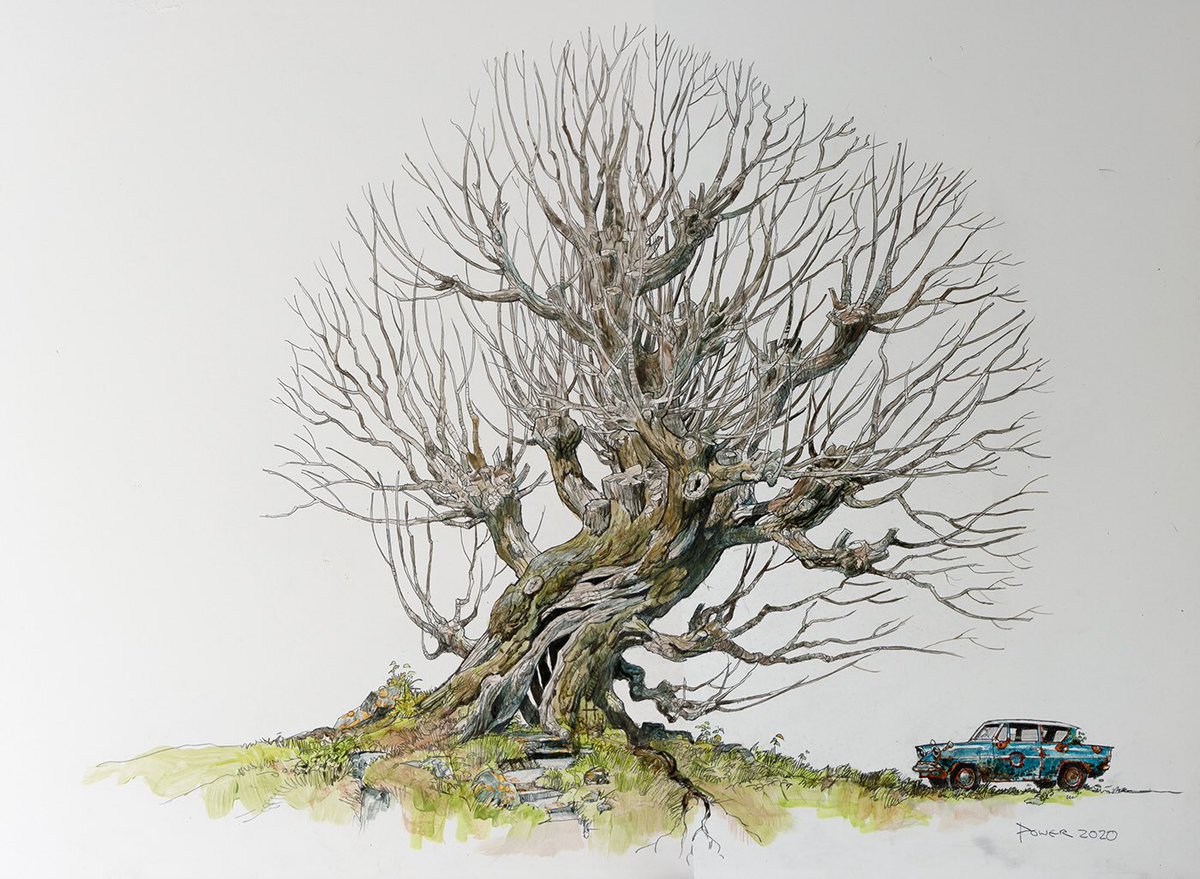 Harry Potter Whomping Willow Drawing