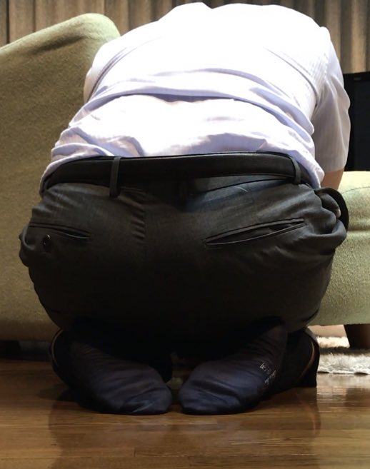 monsuke.navy-socks on Twitter: "まどろみの時間。…