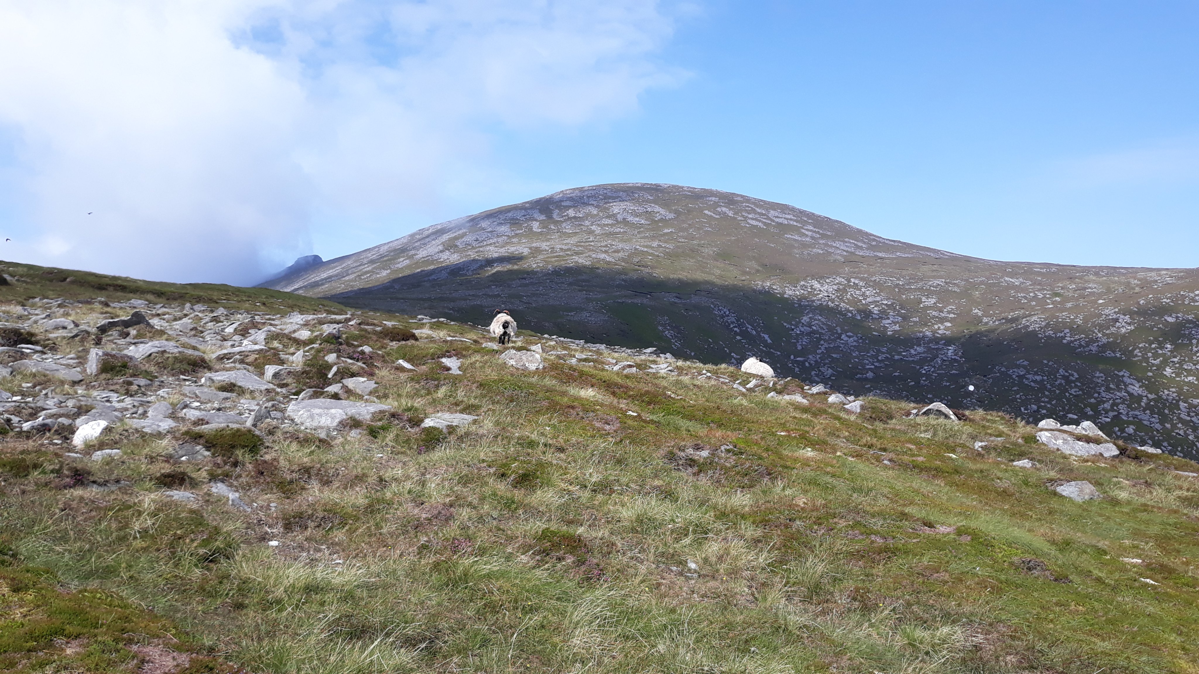 Sheila Mangan (@achillfootsteps) / Twitter