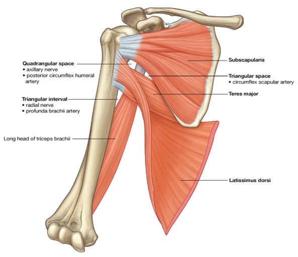 Quadrangular Space And Triangular Space Lower Triangular Space