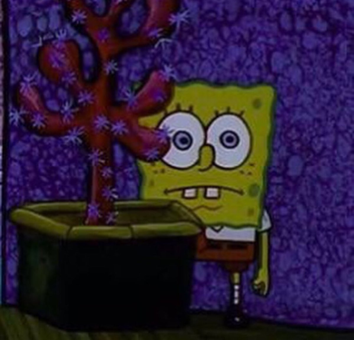 Squidward Reaction Faces