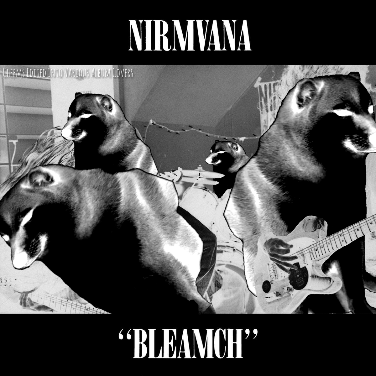 Bleach Album Cover